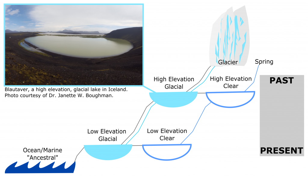 Genetic and epigenetic relationships across evolutionary and ecological ...