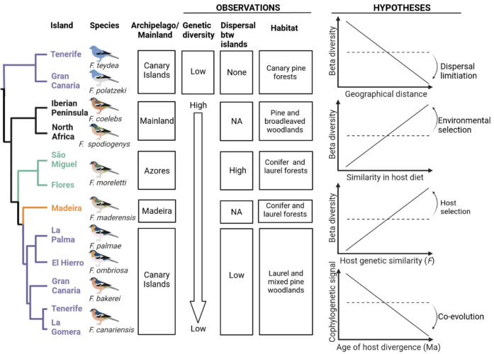 EECG Embarkation: Worlds within islands – deciphering the evolutionary ...