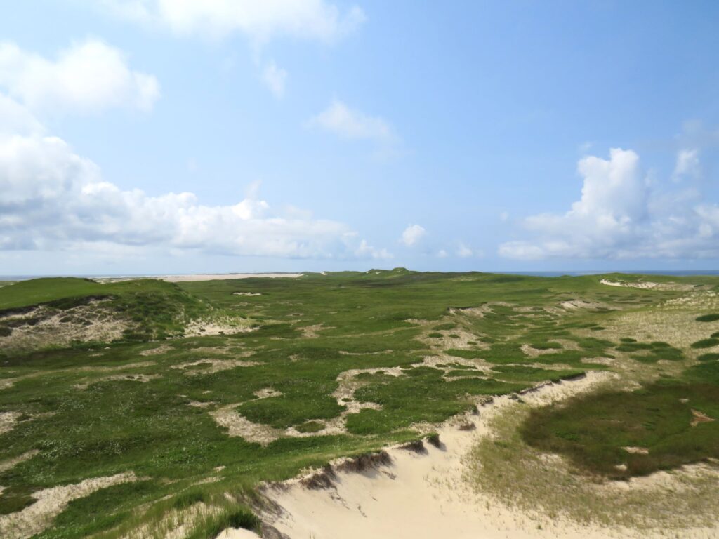 EECG Embarkation: Waken the ferine strain—a strain-resolved ...