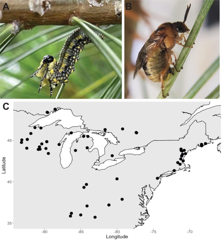 EECG Epilogue: Population genomics reveals a single introduction of the ...