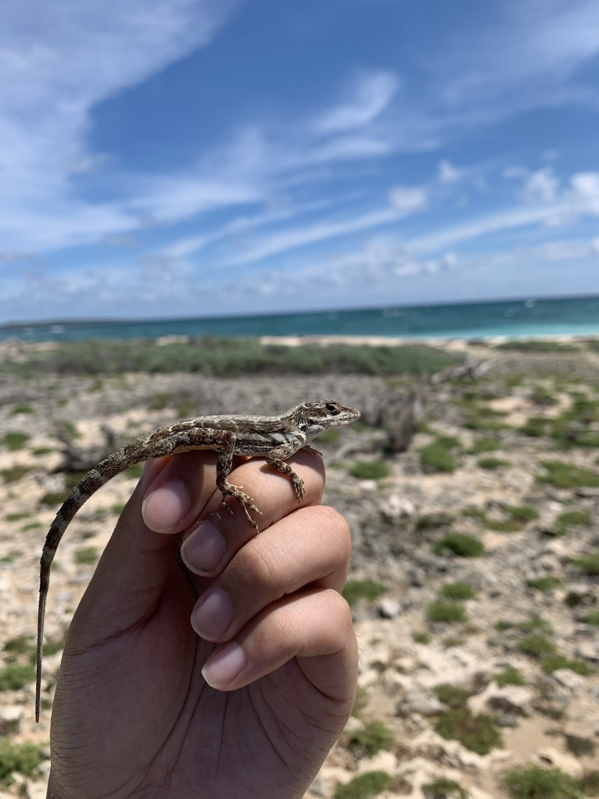 EECG Embarkation 2024: Microgeographic adaptation and landscape ...